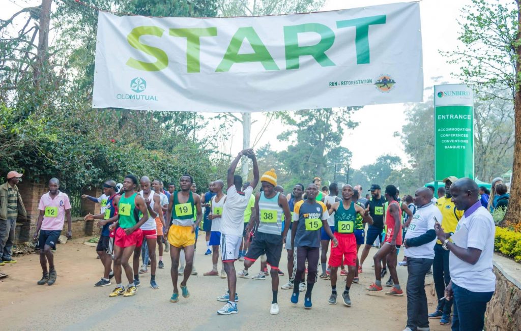 Over K5 million raised from Old Mutual Run 4 Reforestation half ...