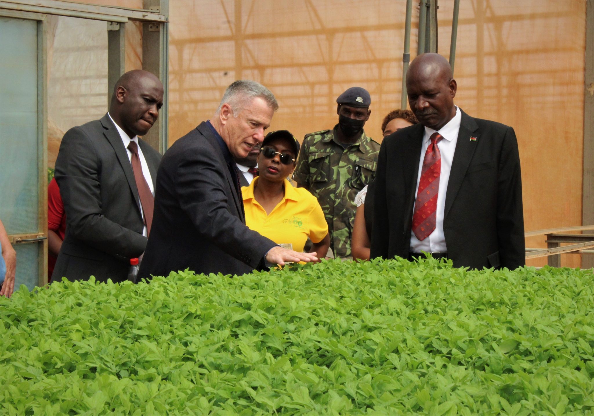 Standard Bank invests in mega farm initiative by donating two ...