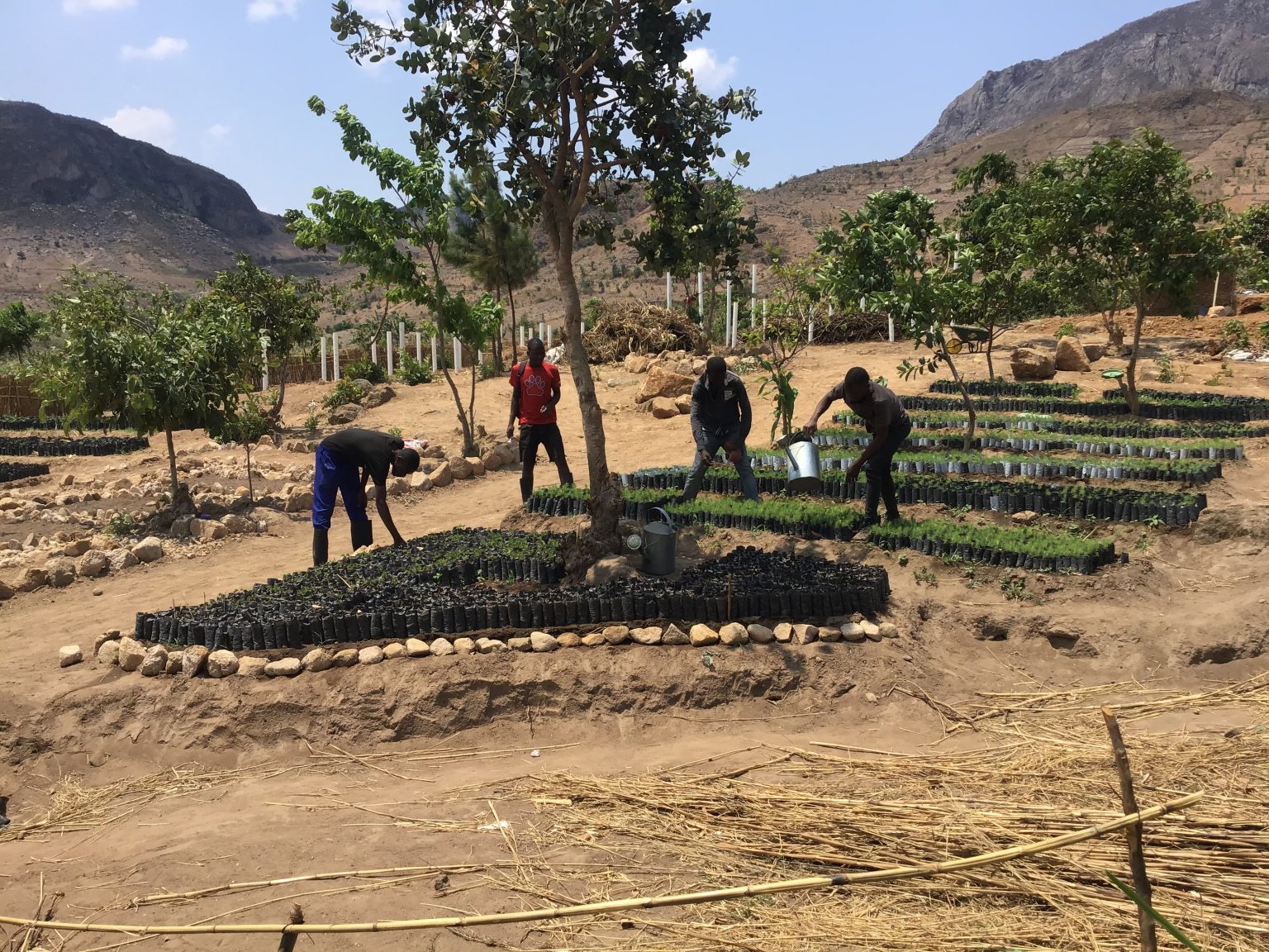 Ndirande compost fertilizer manufacturers take waste disposal campaign ...