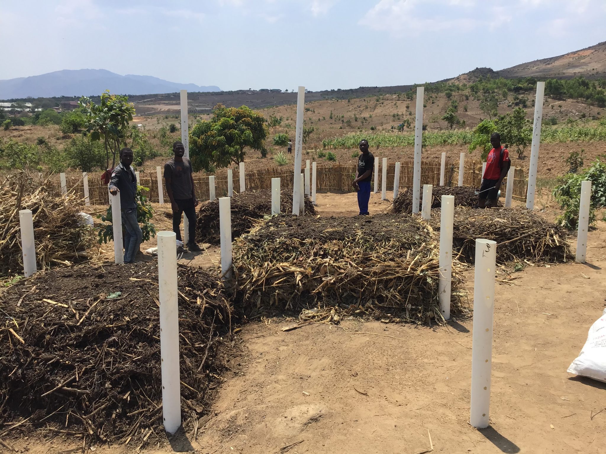 Ndirande compost fertilizer manufacturers take waste disposal campaign ...