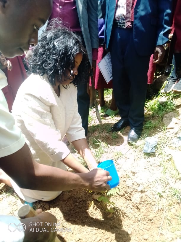 Ndirande volunteer environment protection group inculcates tree ...
