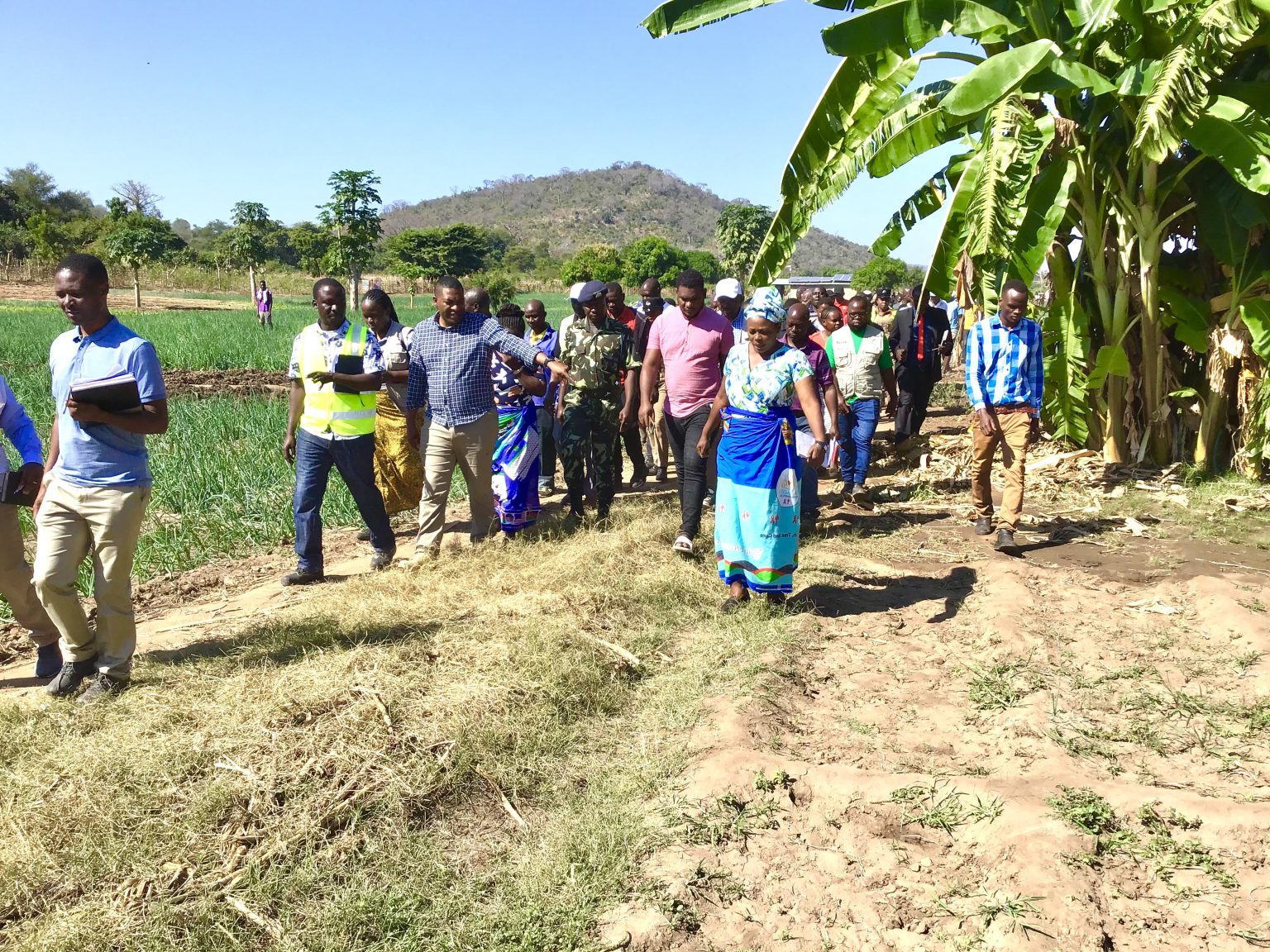 Lower Shire small scale irrigation farming doing fantastic job in food ...