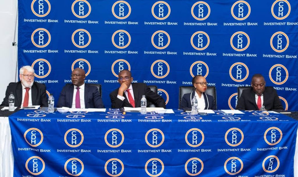CDH Investment Bank appoints Mkavea as new CEO, Beatrix Mosiwa as ...