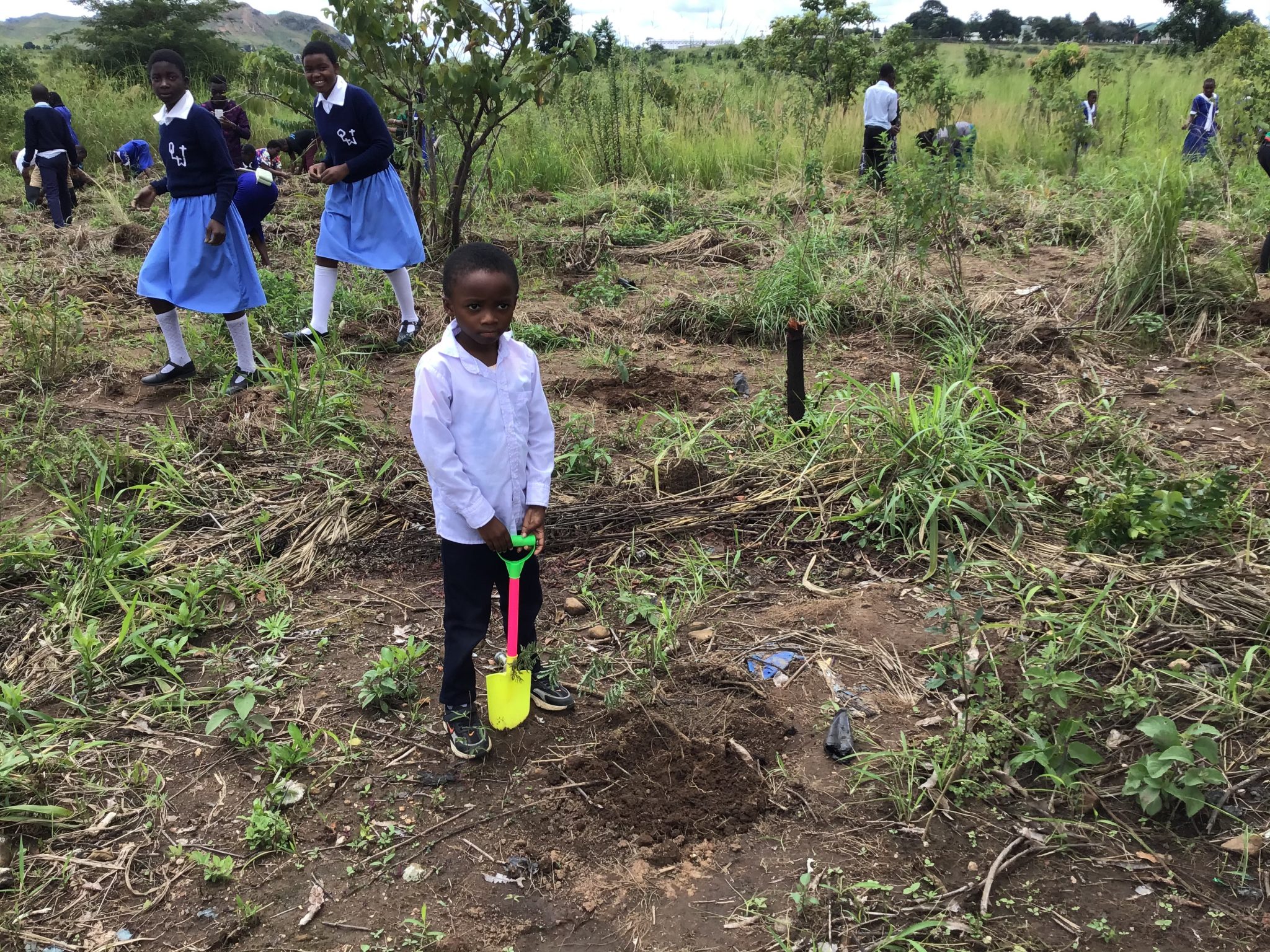 Water for People dresses Mudi Catchment Area with trees – Maravi ...
