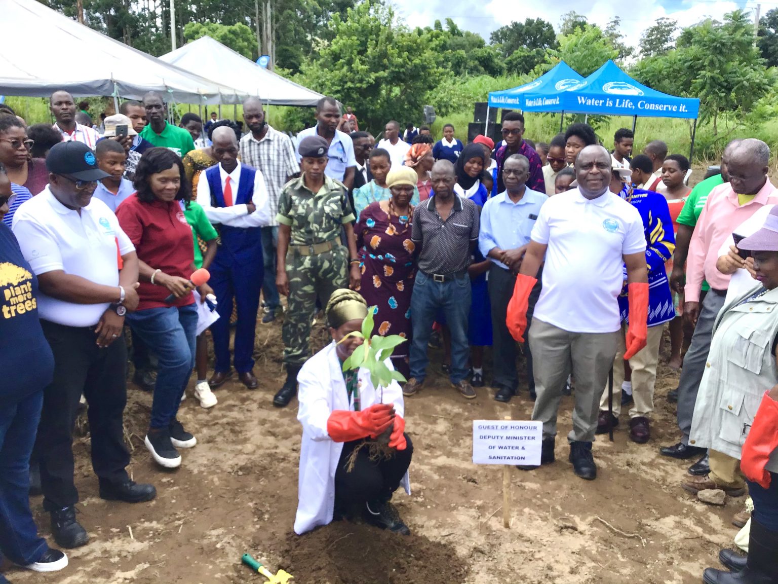 BWB stakeholders invest over 50,000 tree seedlings for 2024 forestry ...
