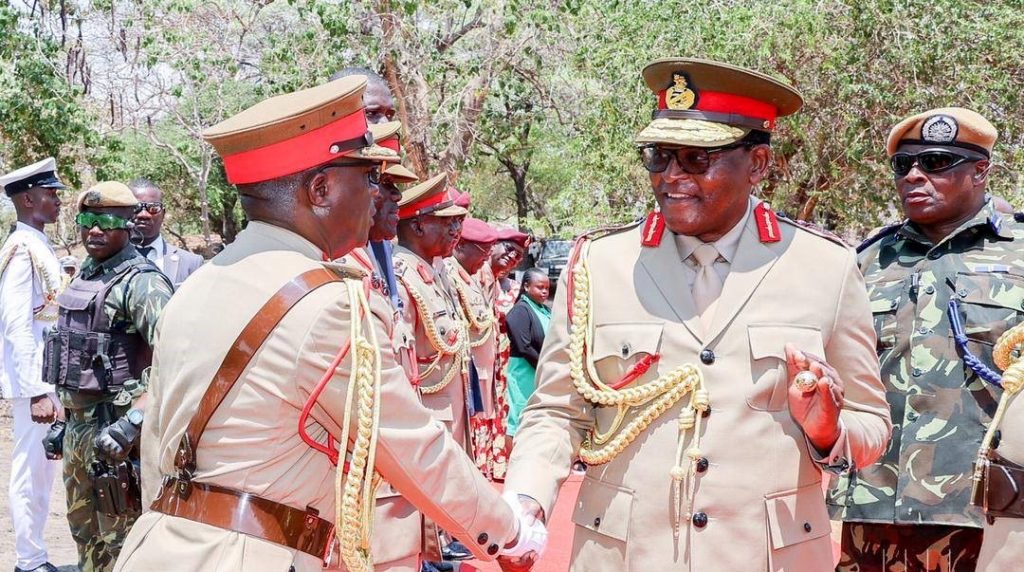 The law does not recognise the Vice-President as Deputy Commander-in ...