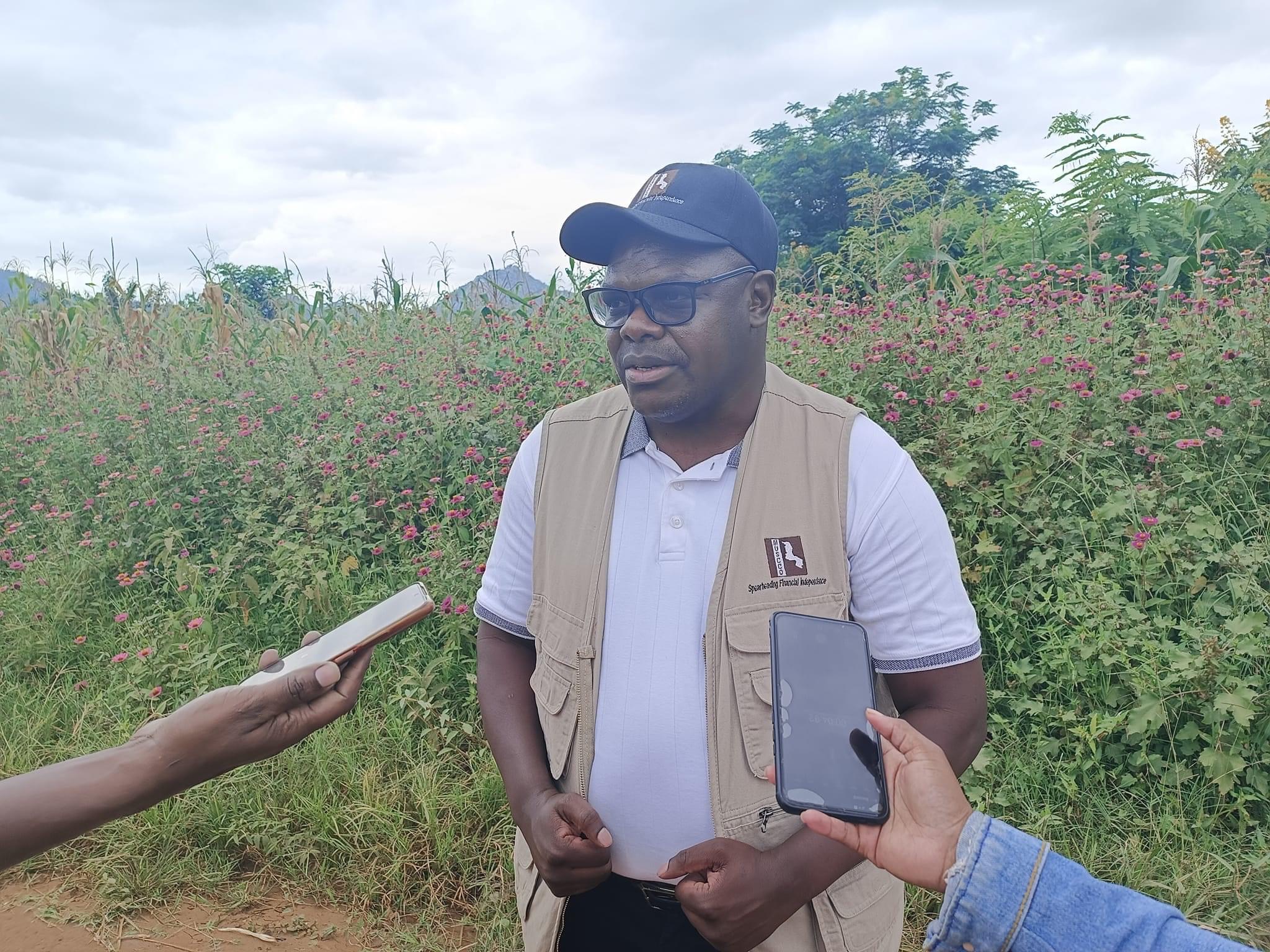 Chitedze Research creating climate change-resilient groundnut varieties ...