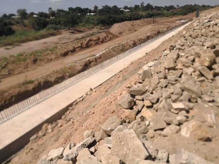 Songwe’s One Stop Border Post construction expected to be completed by ...