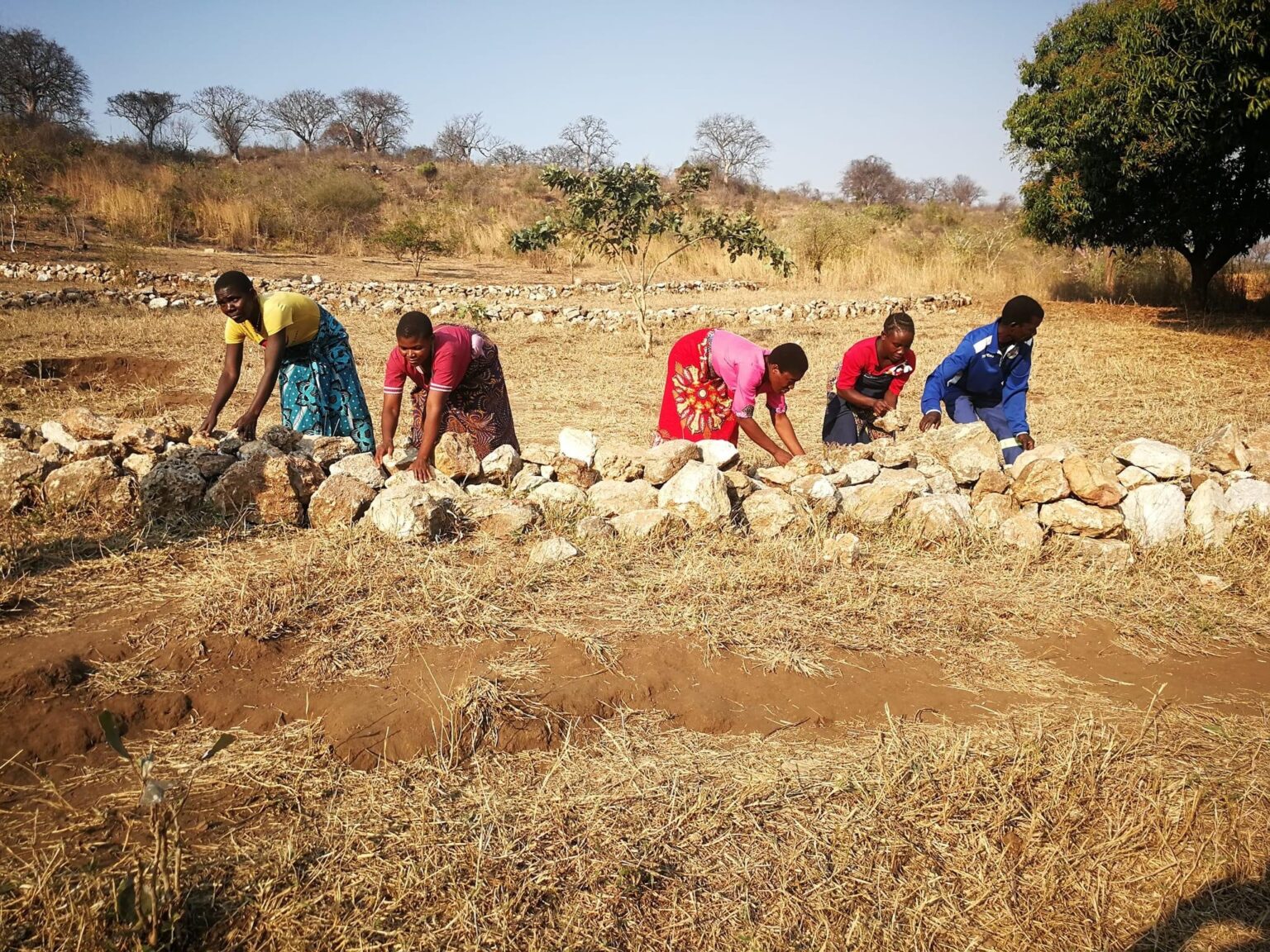 MWASIP assisting towards restoration of 10,334 hectares of degraded ...