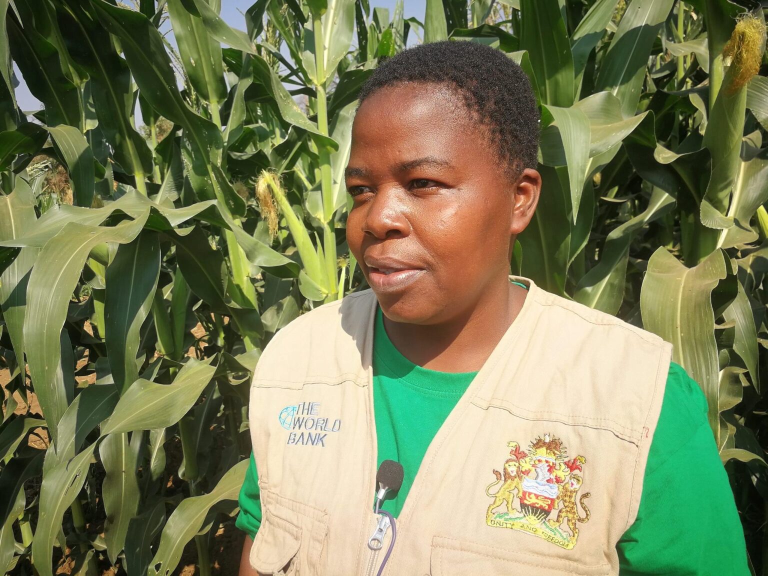 MWASIP assisting towards restoration of 10,334 hectares of degraded ...