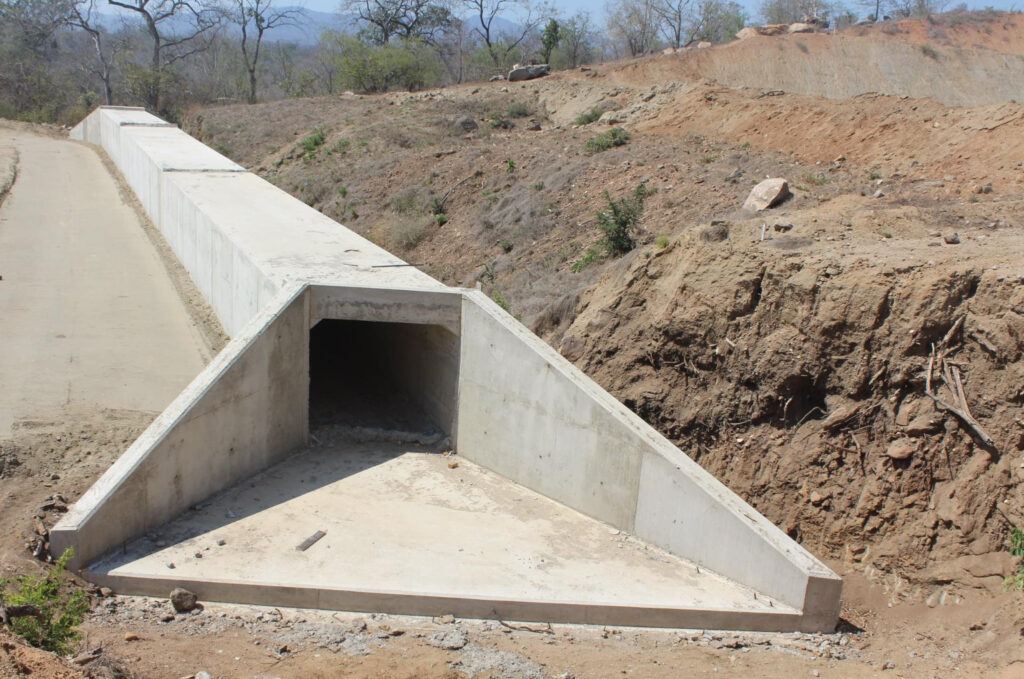First phase of Shire Valley Transformation Programme expected to roll ...