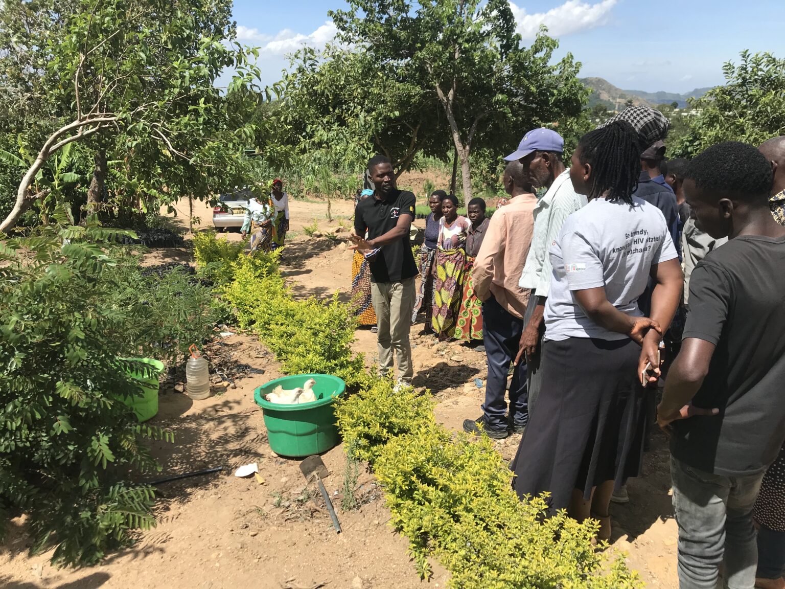 Ndirande volunteer environmental protection group providing livestock ...