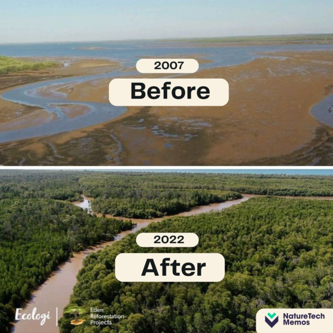 Incredible story of Madagascar’s ecosystem restoration of planting 664 ...