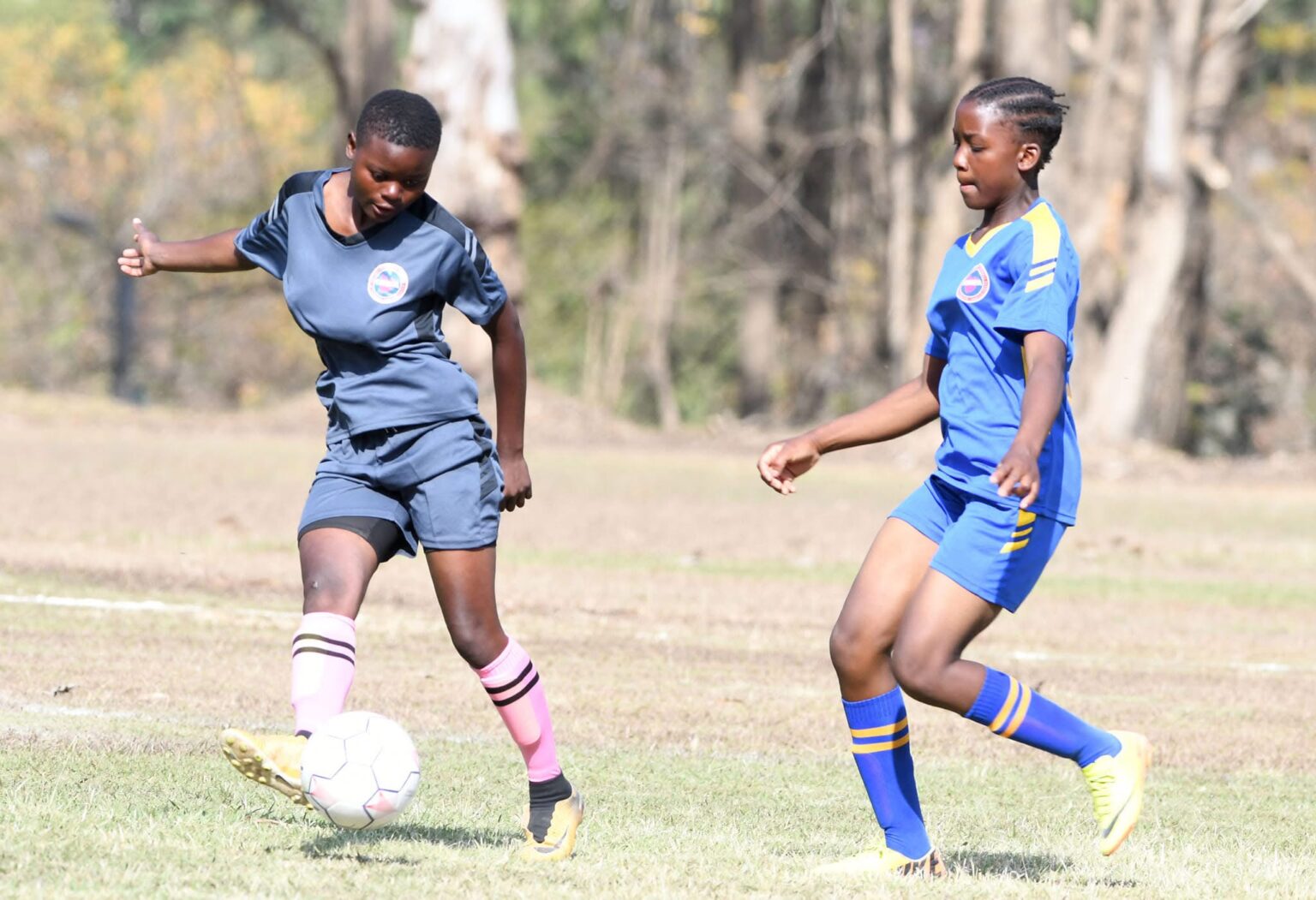 New Technical Director expected to add enormous value as FAM builds a ...